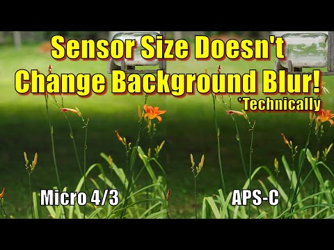 Does Sensor Size Actually Affect Background Blur / Bokeh?
