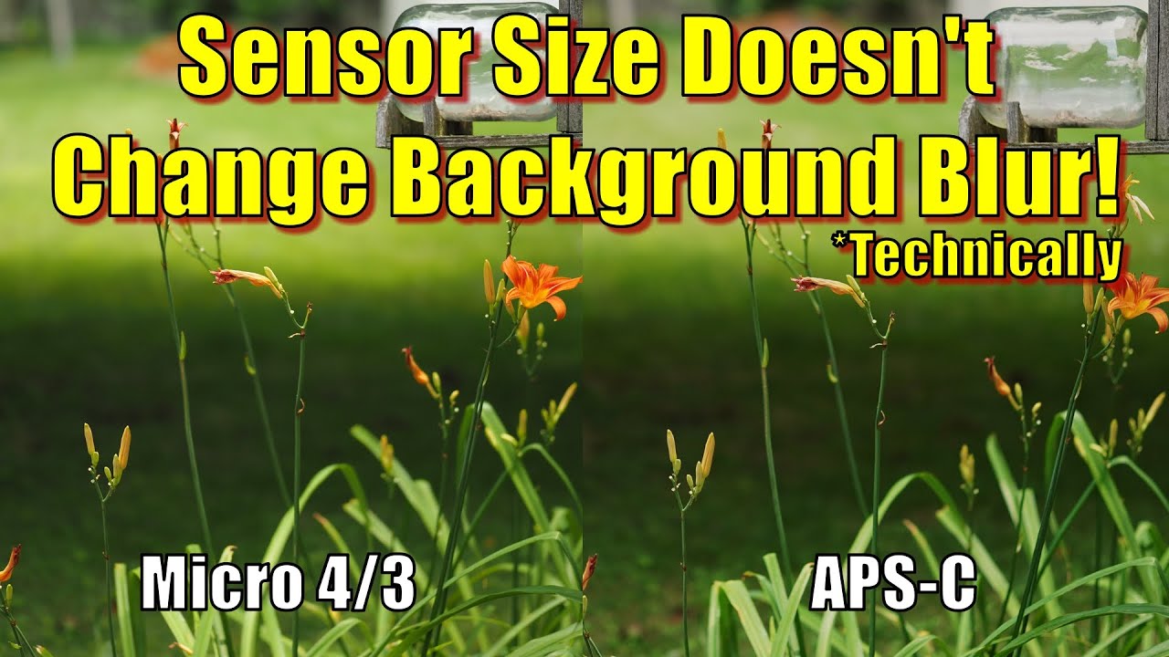 Does Sensor Size Actually Affect Background Blur / Bokeh? - YouTube