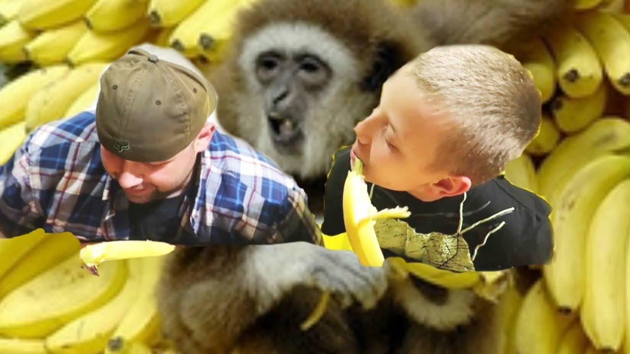 NO HANDS BANANA CHALLENGE - YouTube