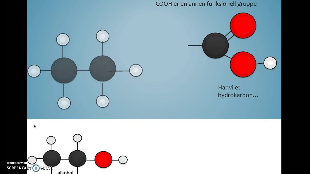 hydrokarboner, funksjonelle grupper, aminosyrer - YouTube
