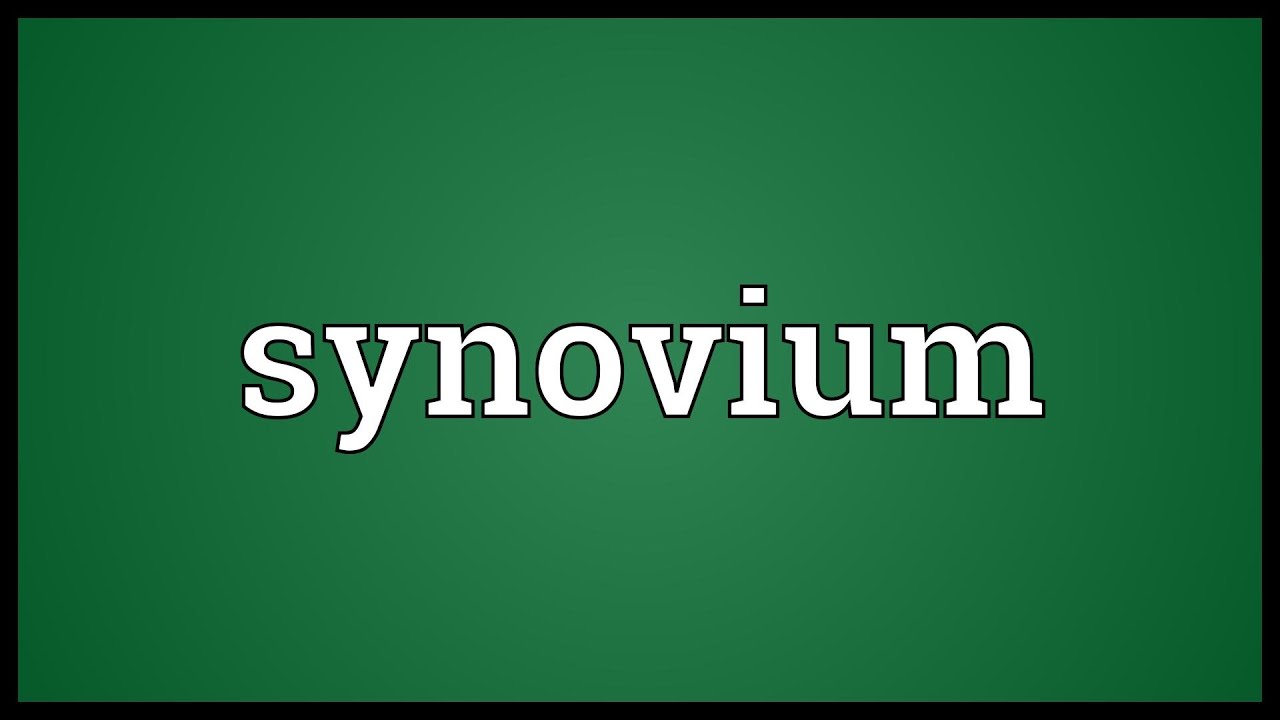 Synovium Meaning - YouTube