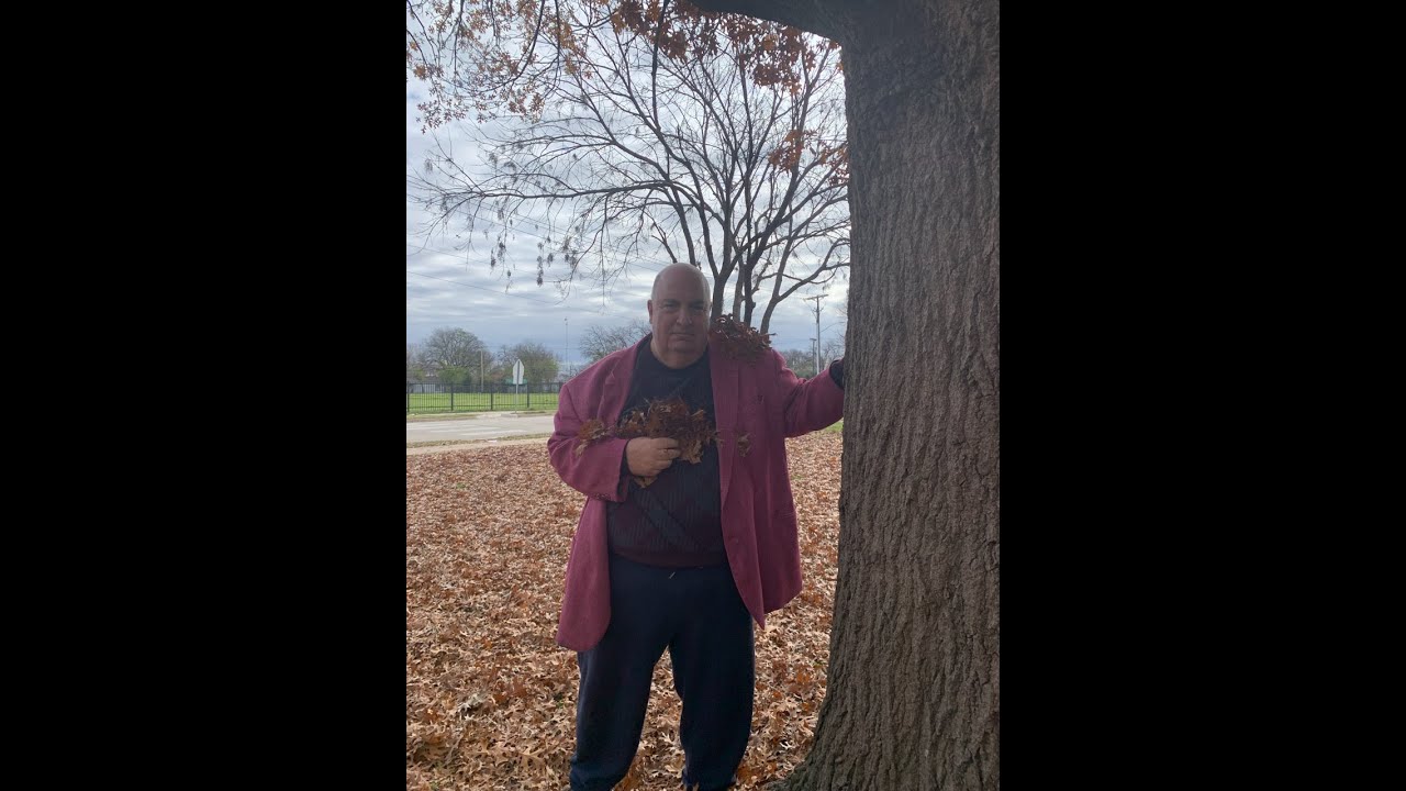 James Raphael - Autumn Leaves - YouTube