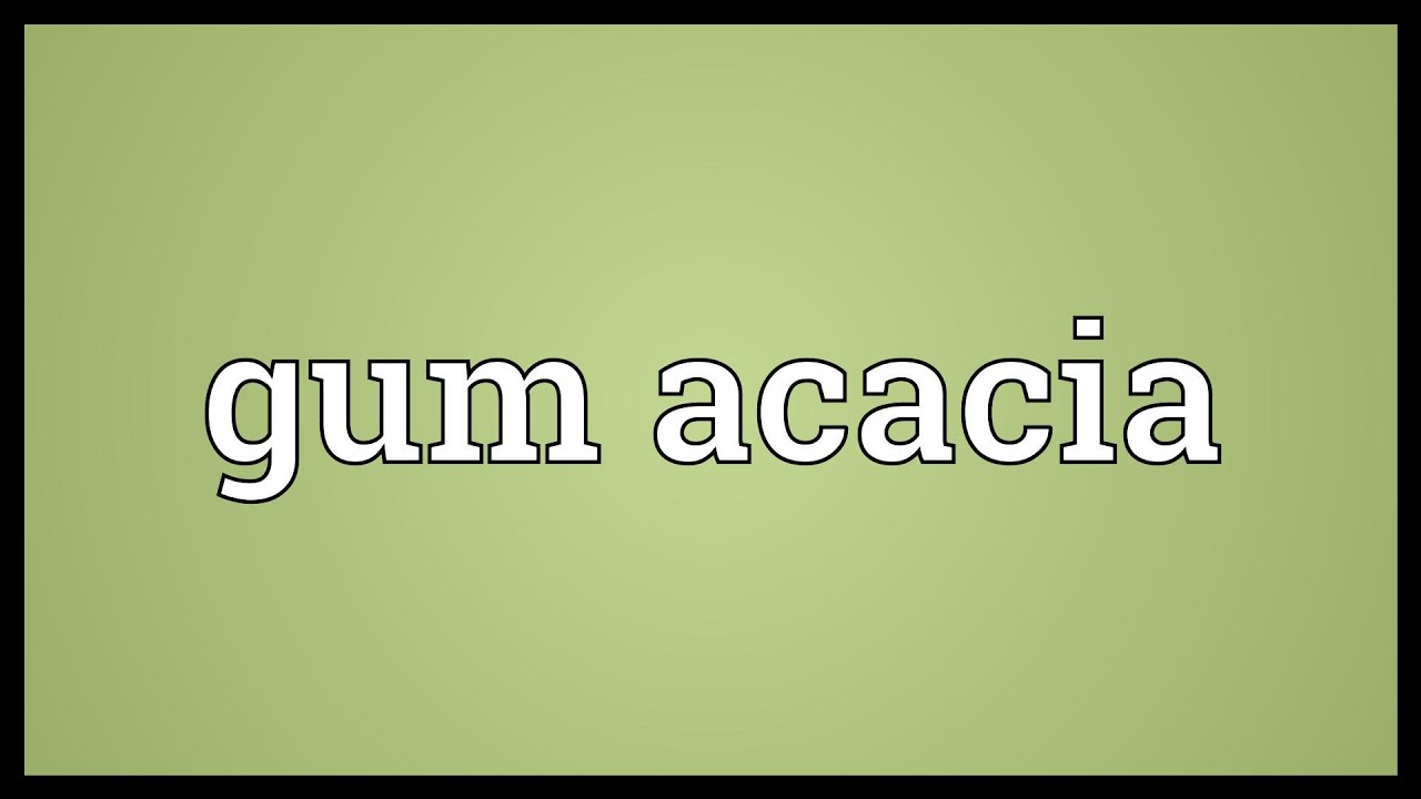 Gum Acacia Meaning YouTube gum-acacia-meaning-youtube