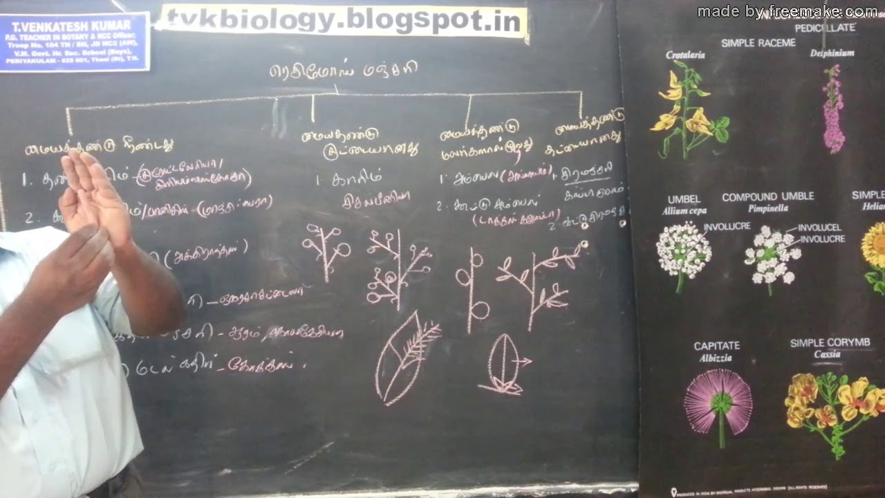 Racemose inflorescence - YouTube