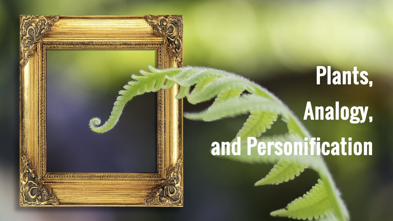 Plants, Analogy, and Personification - YouTube