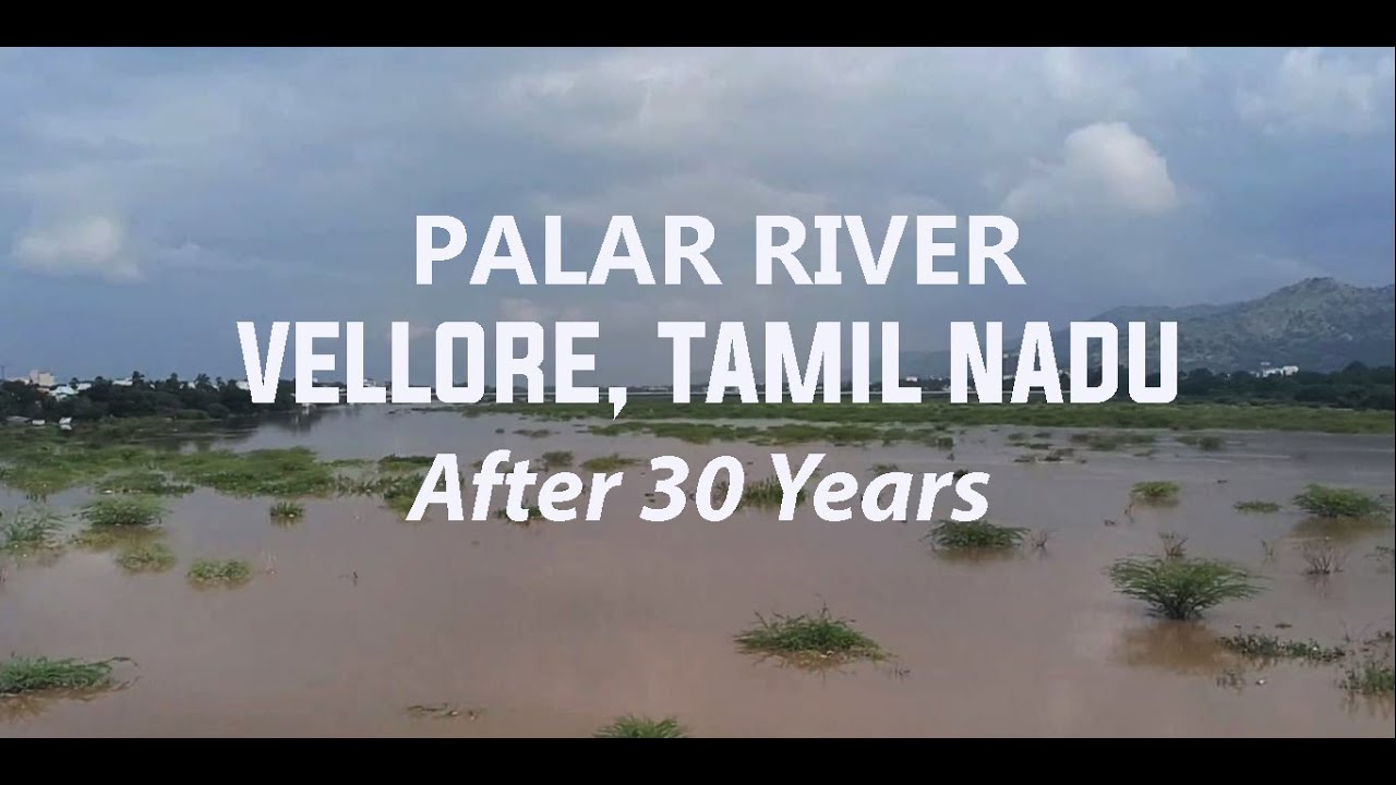 PALAR RIVER, VELLORE, TAMIL NADU - YouTube