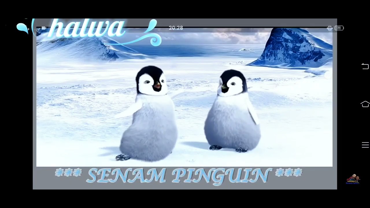 kumpulan video lucu pinguin🤗 - YouTube