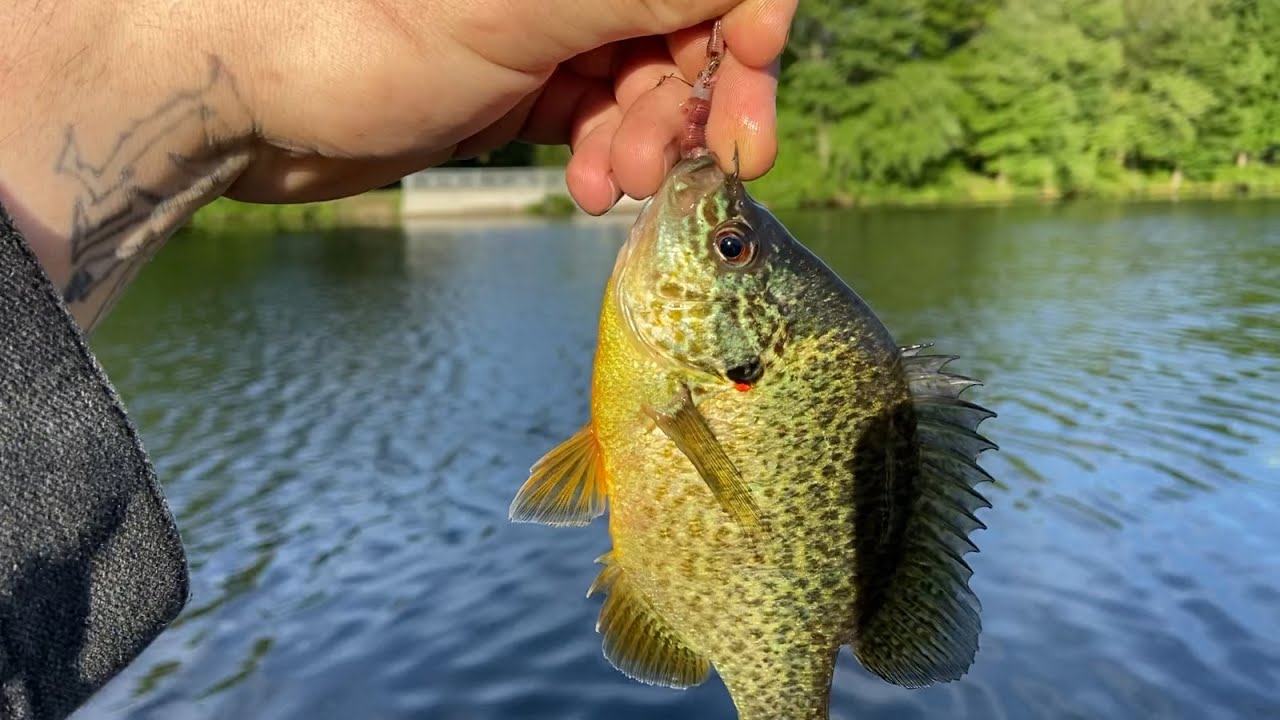 Catching Panfish on the Chadakoin River (Jamestown NY) - YouTube