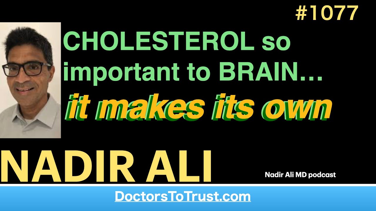 NADIR ALI d’ | CHOLESTEROL so important to BRAIN…it makes its own ...