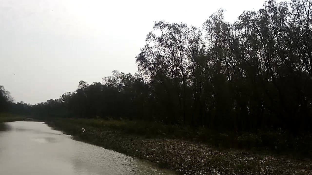 Nijhum Dip Ture 37 - YouTube