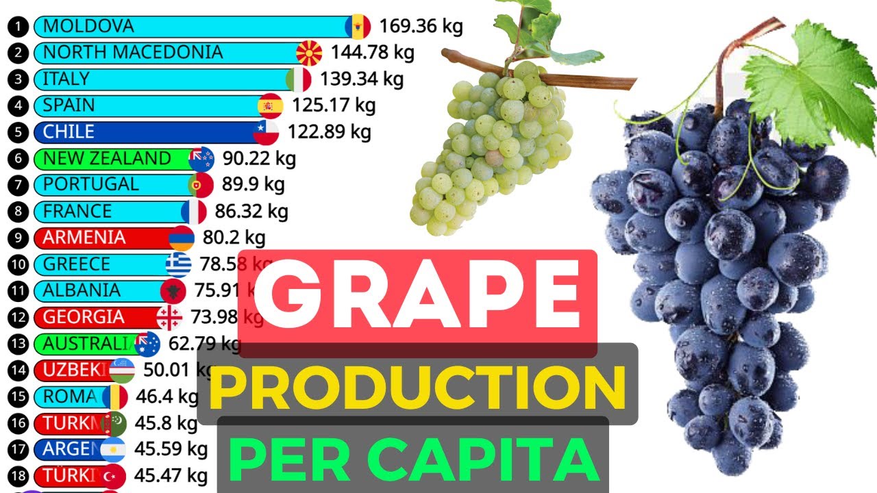 TOP 20 GRAPE PRODUCING COUNTRIES PER CAPITA IN THE WORLD - YouTube