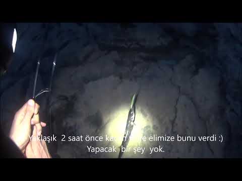 eGe'De aT ÇeK BaRaKuDa PeŞiNDe 19 ( Pursuit of Barracuda )