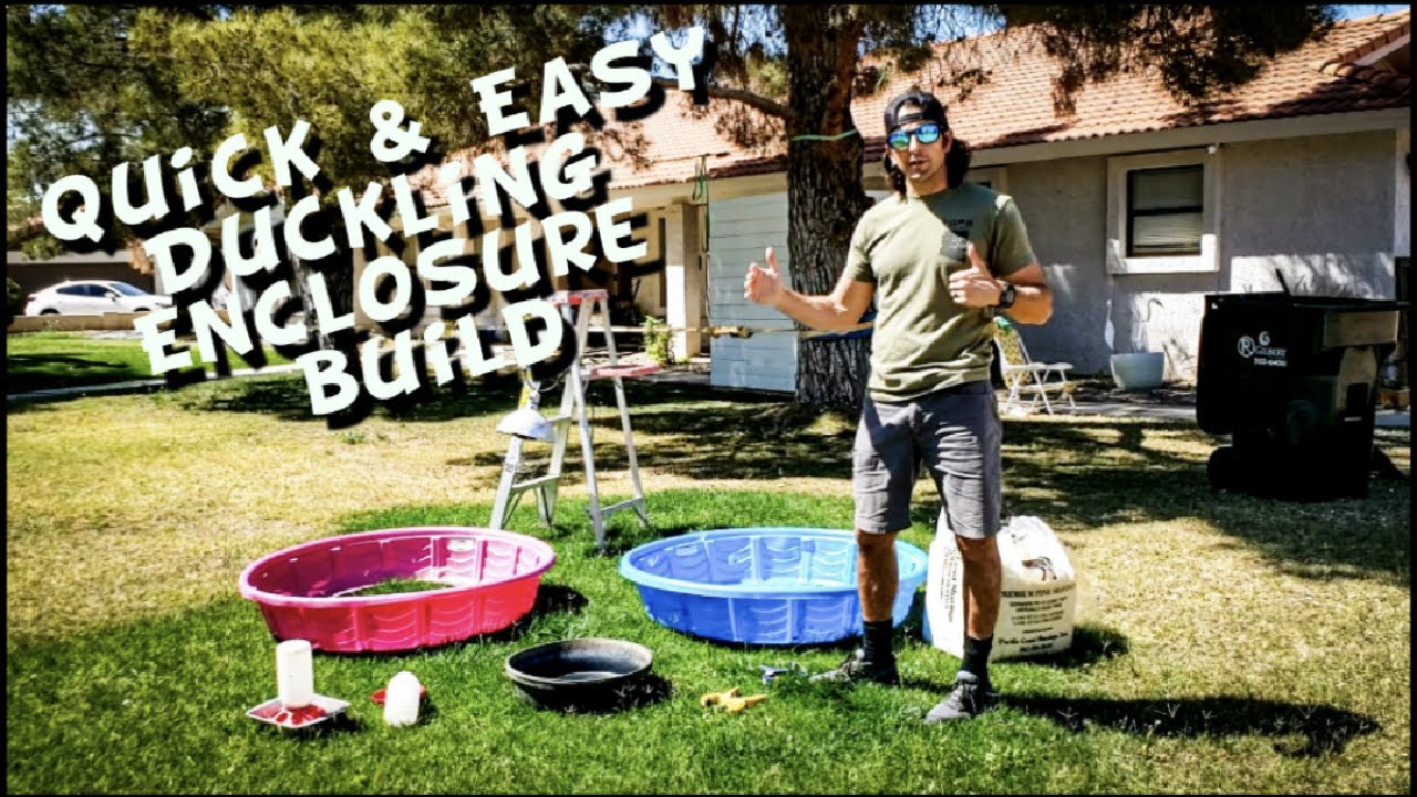How to make a duckling enclosure! Quick, easy and cheap! - YouTube
