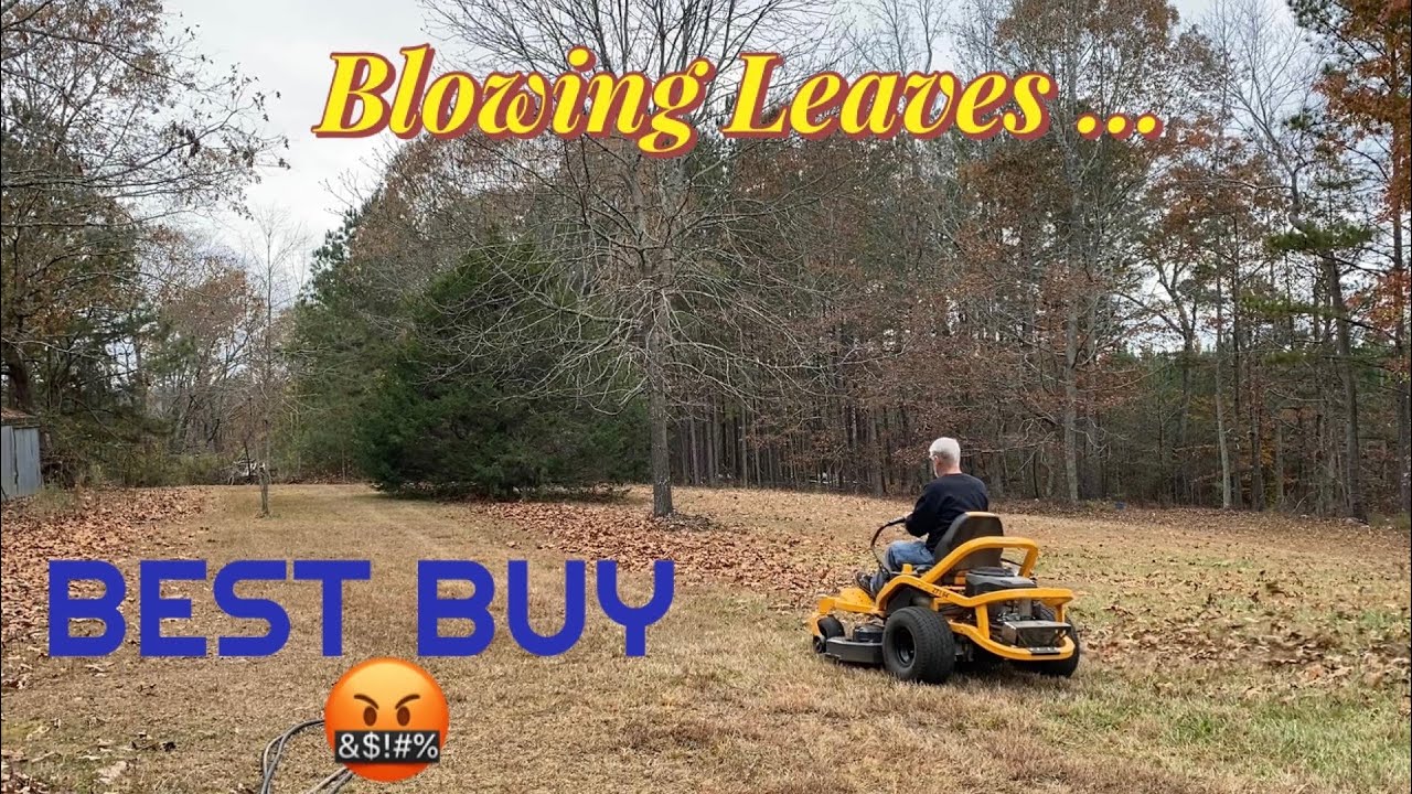 FAST! Yard Clean-up & Best Buy Disaster! Ep 239 - YouTube