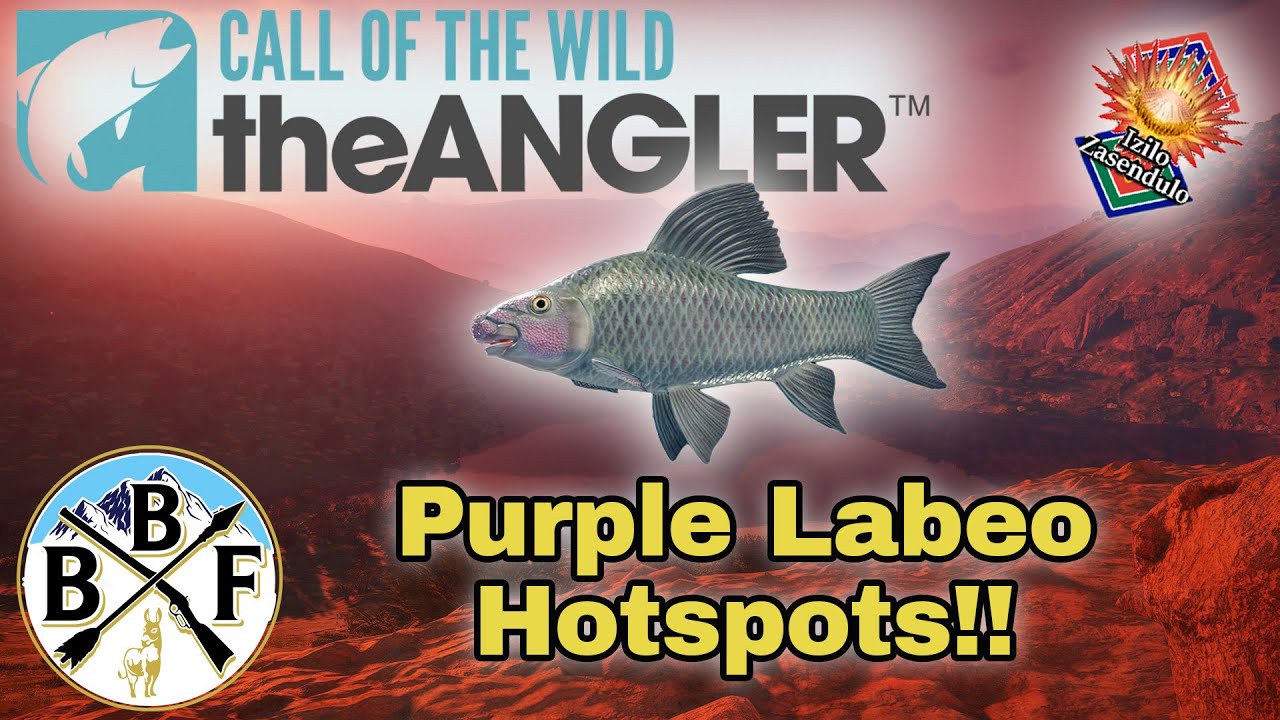 Hotspot Guide: Purple Labeo - Plus Hook Size, Bait & Lure! | Call of ...