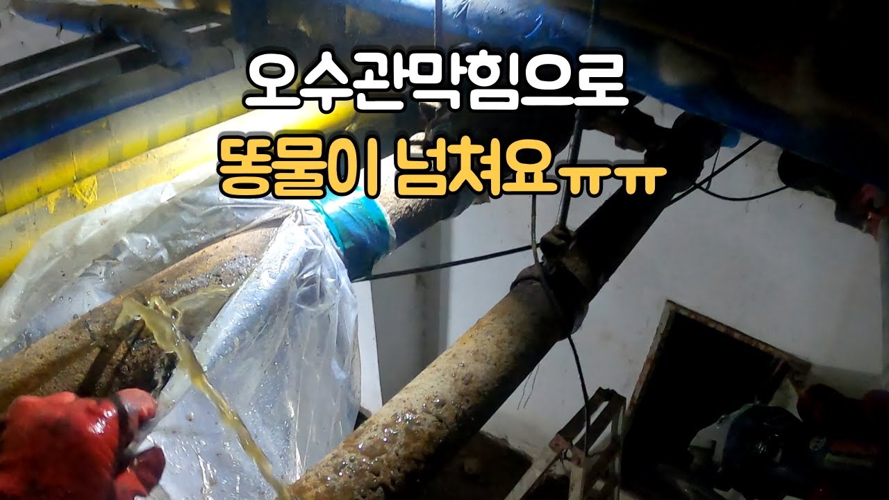 오수관막힘으로 똥물이 넘쳐요.ㅠㅠ Poop overflows due to clogged sewage pipe. - YouTube