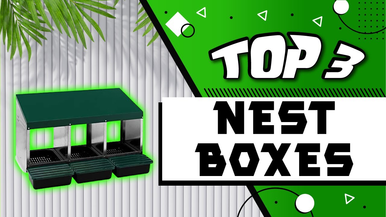 Best Nest Boxes For Kitchen - YouTube