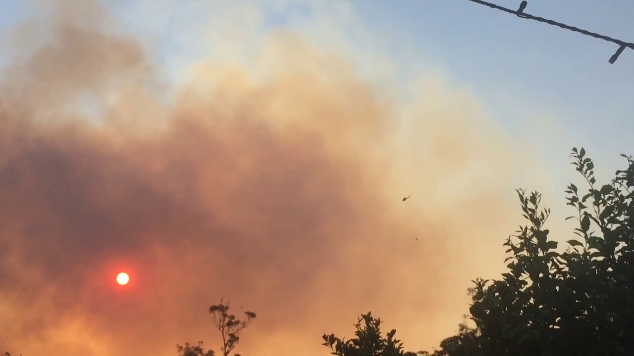 BUSH FIRES in Nambucca Heads - YouTube