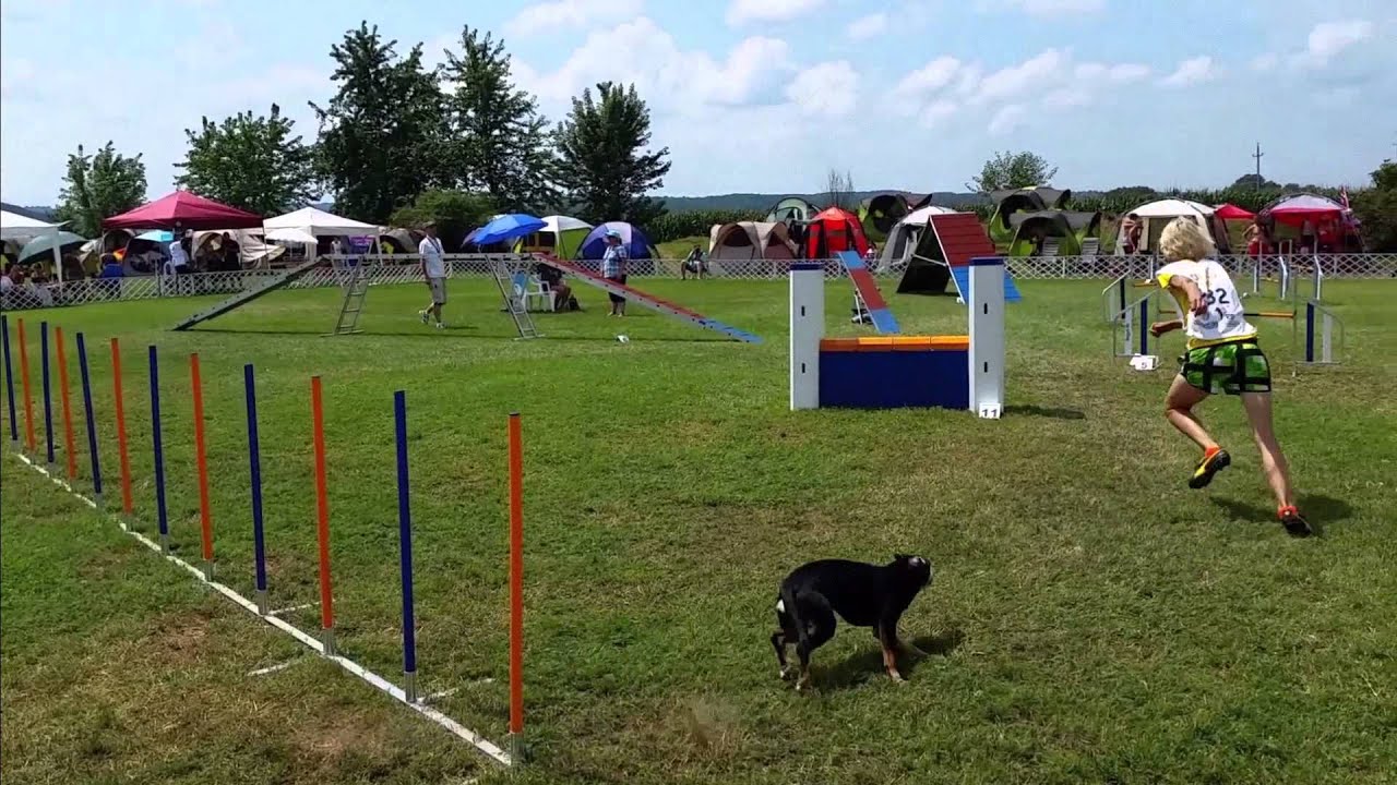 20140726 European Open 2014 individual agility Ermina + Moliberta. DSQ ...