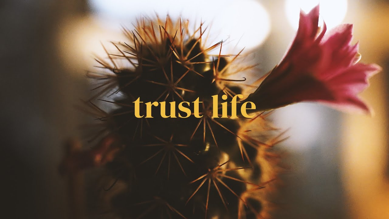 2.34 trust life - YouTube