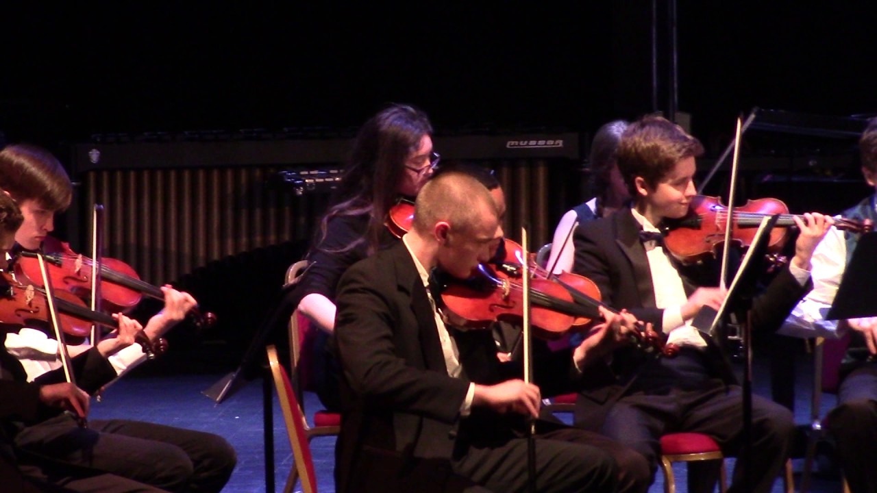 Abduction of Seraglio performed by the 2016 SE Honor Strings Haines ...