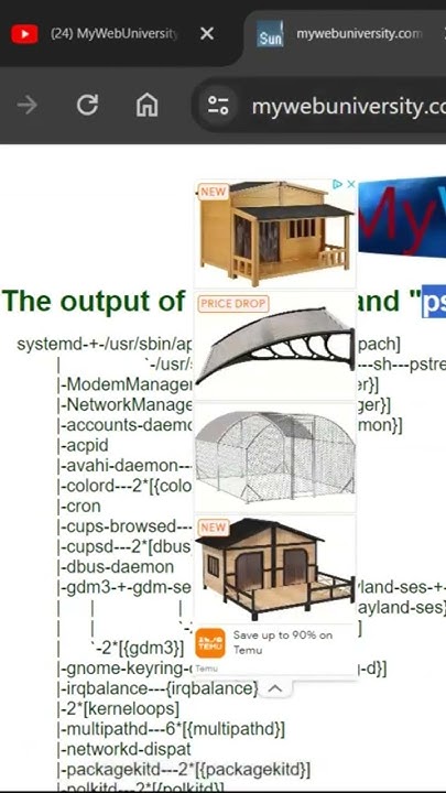 Run Linux Commands Online and Get the Output on Your Browser! 📚 - YouTube