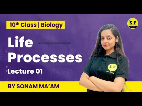LIFE PROCESSES CLASS 10TH BIOLOGY SCIENCE ONE SHOT COMPLETE EXPLANATION ...