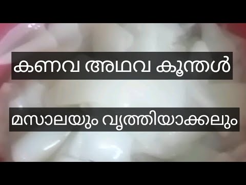 Koonthal Roast|squid masala|Koondal Cleaning കണവ മസാലയും കൂന്ത ...
