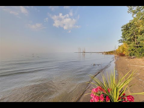 Anna Moscardelli REALTOR®, REMAX sarnia realty inc brokerage For Sale ...