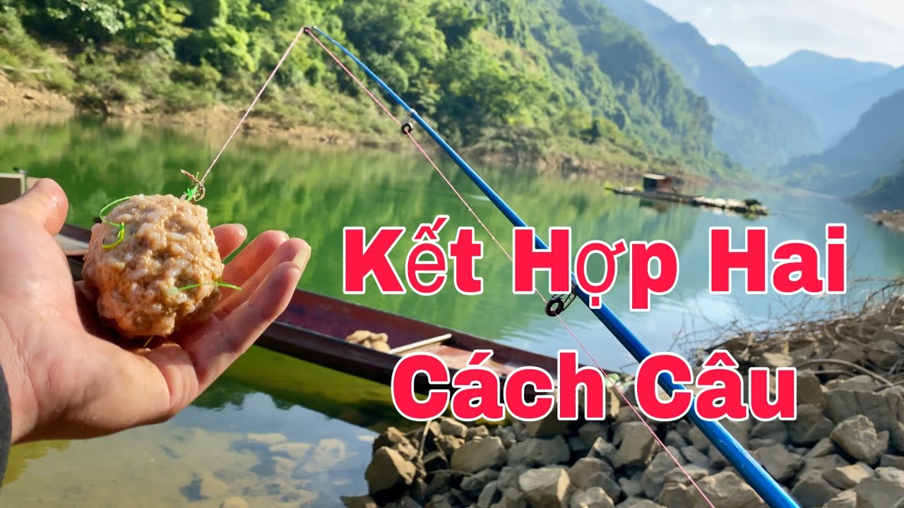 Câu Cá Sông Tự Nhiên | kết Hợp Hai Cách Câu Và Kết Quả Bất Ngờ | Hạnh ...