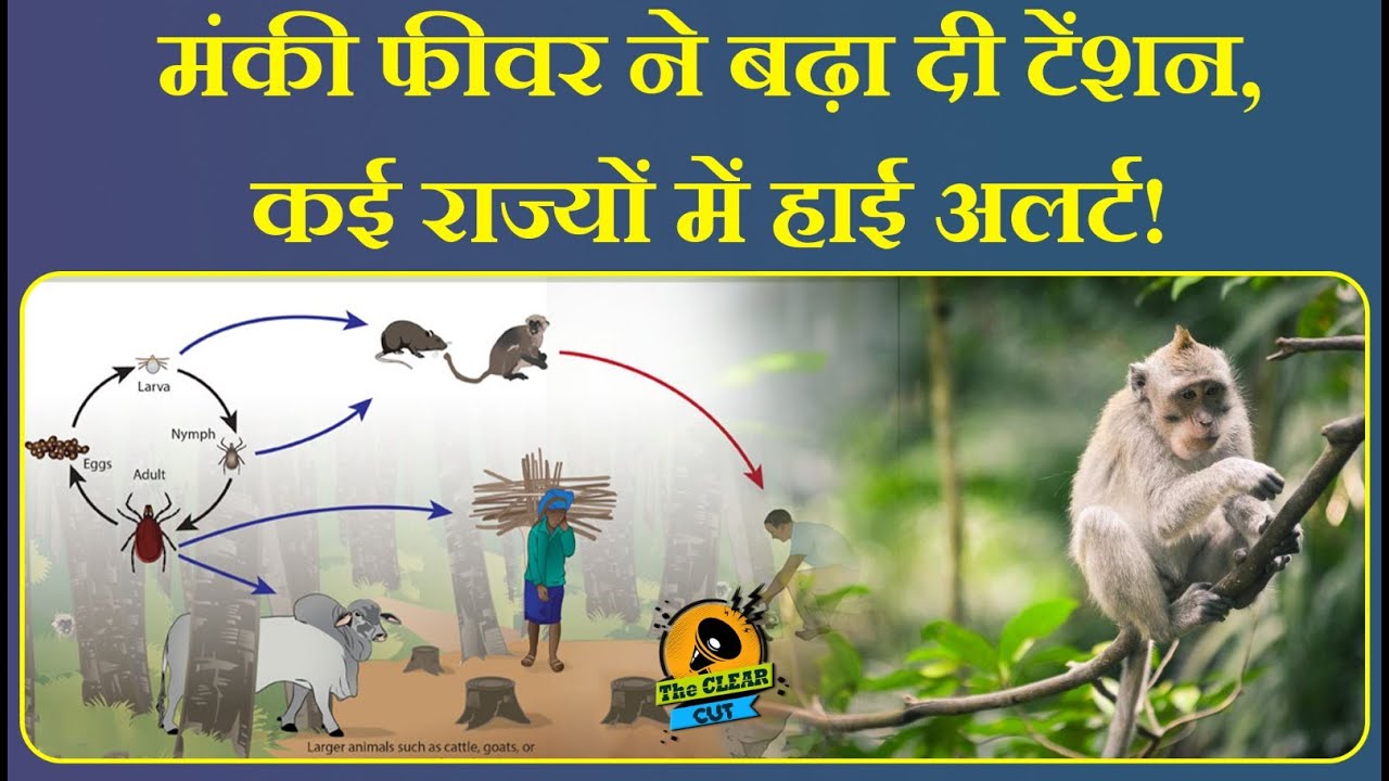 Monkey Fever | #KyasanurForestDisease को लेकर States में High Alert ...