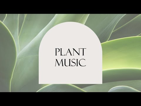 Plant Wave Plant Music Session with Milly 2 - YouTube