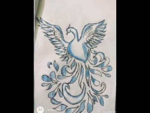 How to draw fantacy vector drawing with blue shade - YouTube