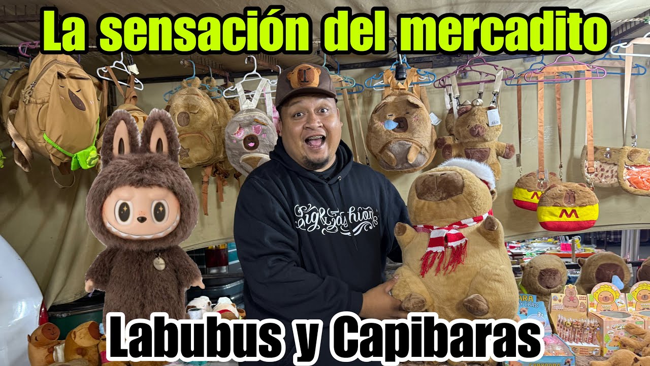 ¡Lo más buscado! Labubu y Capibara arrasan en los tianguis - YouTube