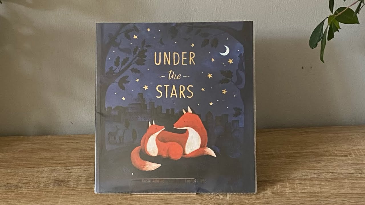 Kids Bedtime Read Aloud 😴 📚- KT Budge Books Reads Under The Stars 🌟 ...