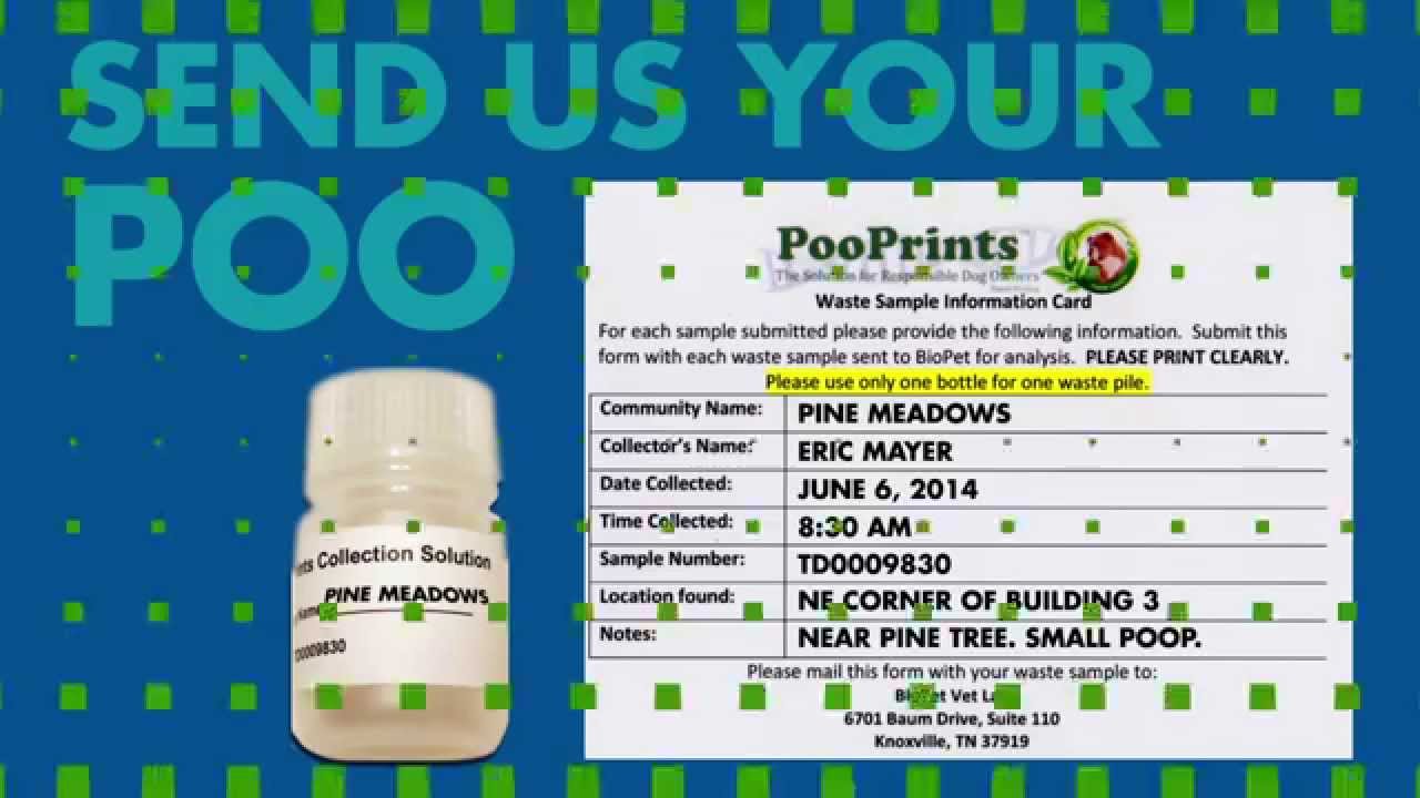 How To Take A Waste Sample - YouTube