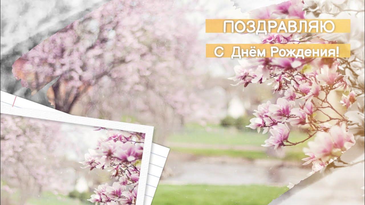 Магнолия - YouTube