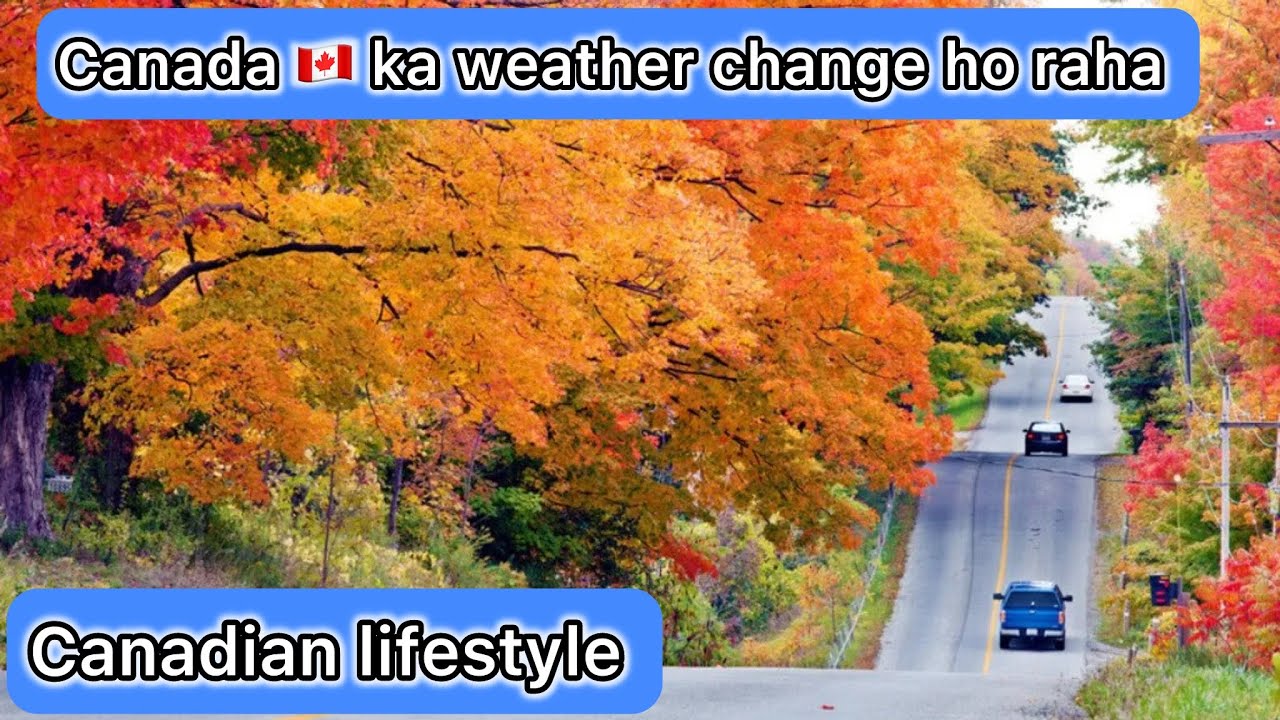Canada 🇨🇦 ka weather change ho raha hai☺️sardi a gai#canadakaweather# ...