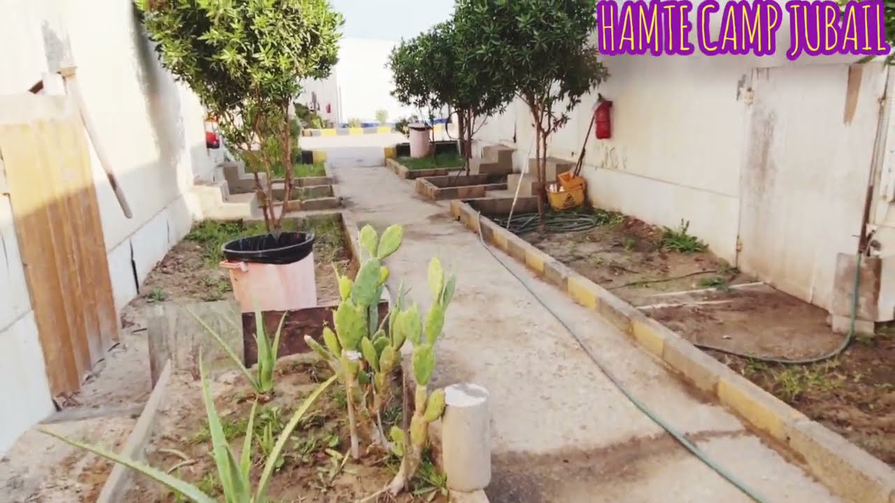 Hamte Camp Jubail Hamte Camp Jubail Youtube