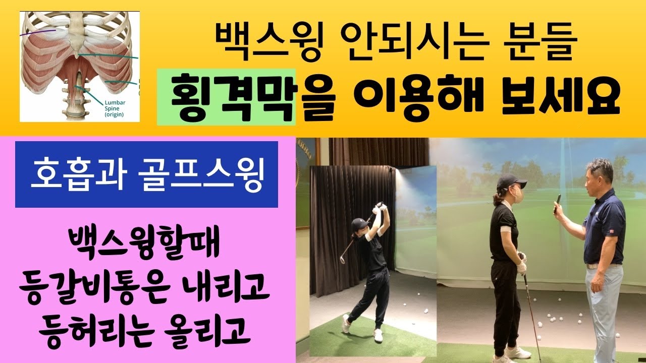 65253세 4백스윙 빠른 백스윙 줄이고 자동 코킹 만들기 공을 띄우는 요령 등갈비는 내리고 등허리는 올리고 새로운