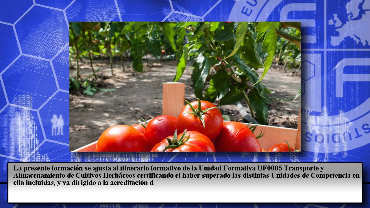 Uf0005 Transporte Y Almacenamiento De Cultivos Herbaceos Online