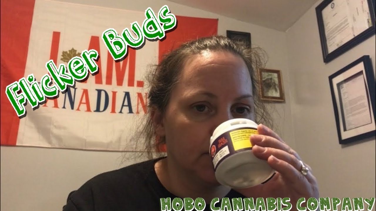 Donna Reviews “Flicker Buds” (Medical Marijuana) From Hobo Cannabis ...
