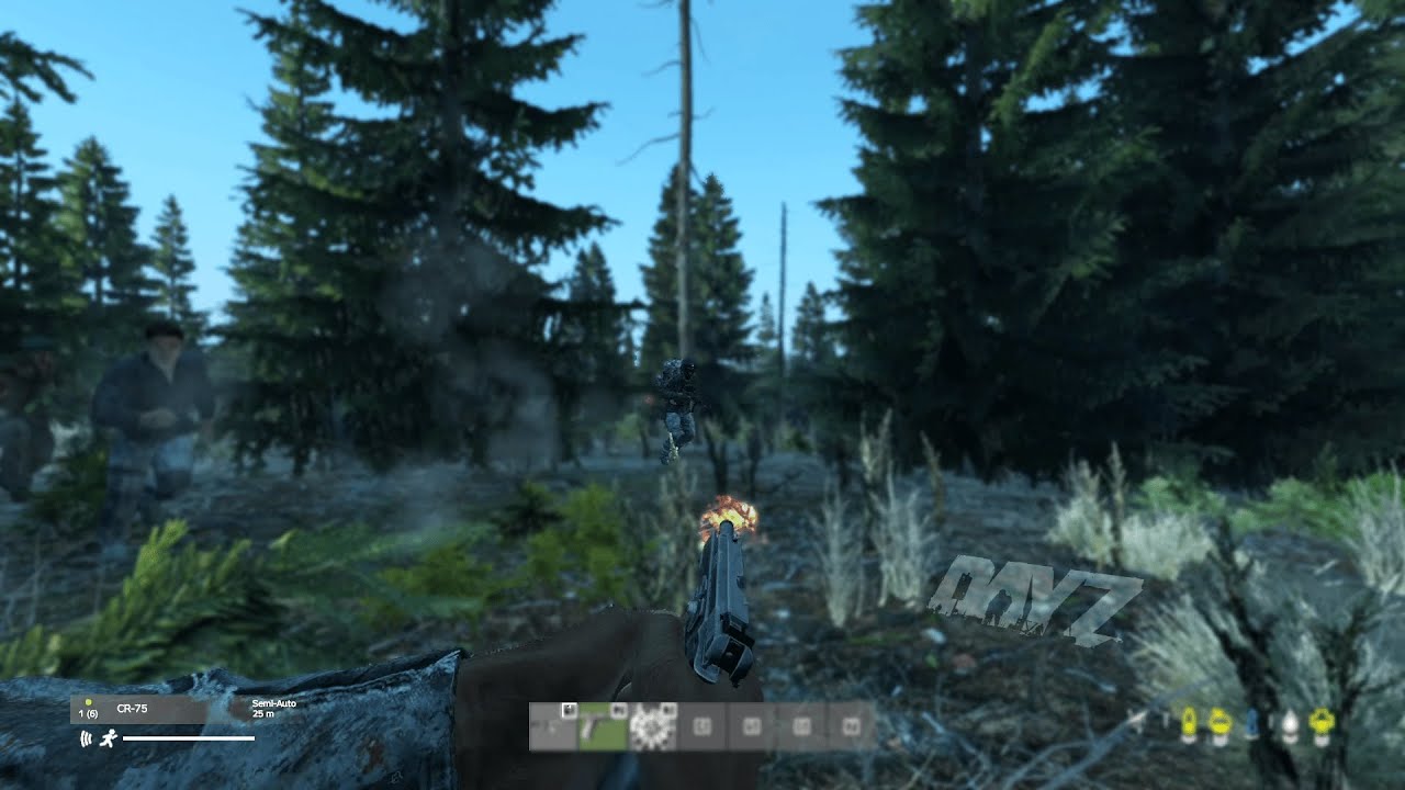 LAR vs CR-75 in DayZ! - YouTube