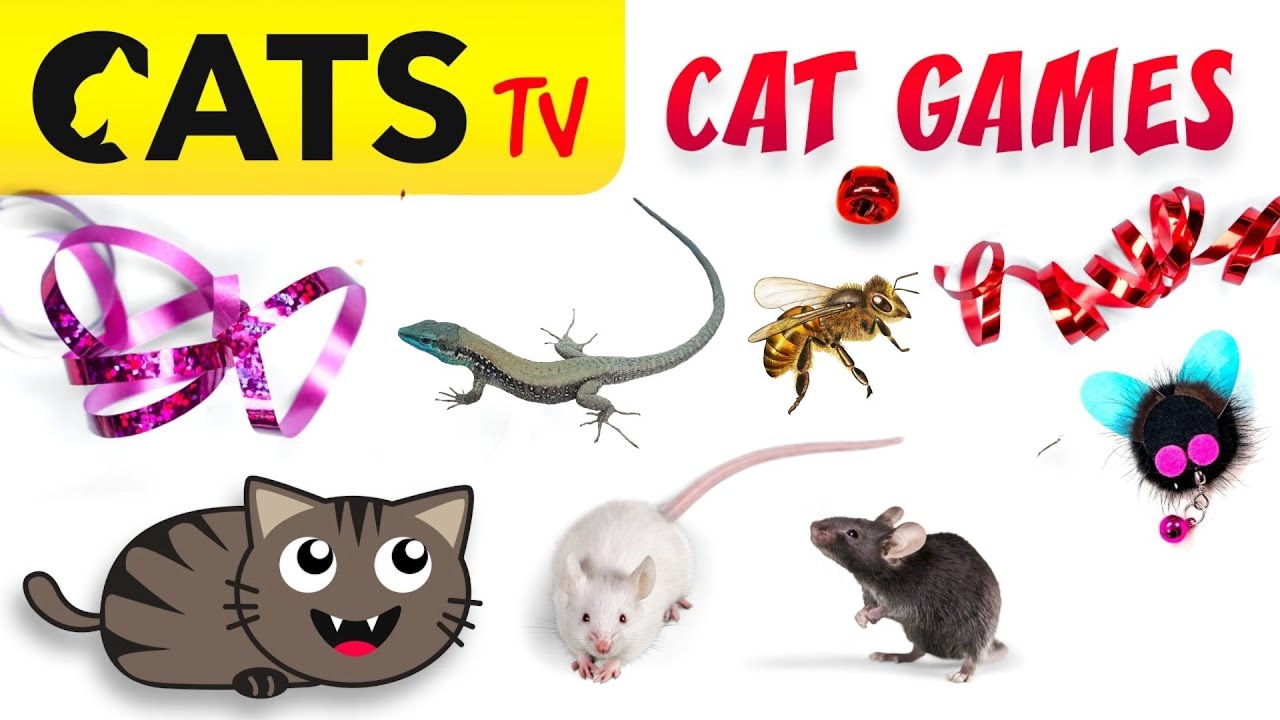 CAT GAMES 📺🪳 Ultimate CATS TV Compilation 20 in 1 🐭🙀🦎 4K 60 FPS [3 ...