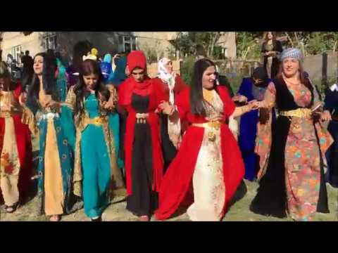 kürt kadınların halayı