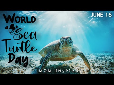 World Sea Turtle Day Special Status 2021|World Turtle Day WhatsApp Status
