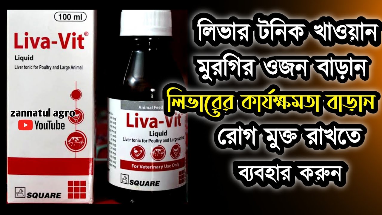 মুরগিকে কেন লিভার টনিক খাওয়াবেন | লিভার টনিক এর সঠিক ব্যবহার | Liva ...