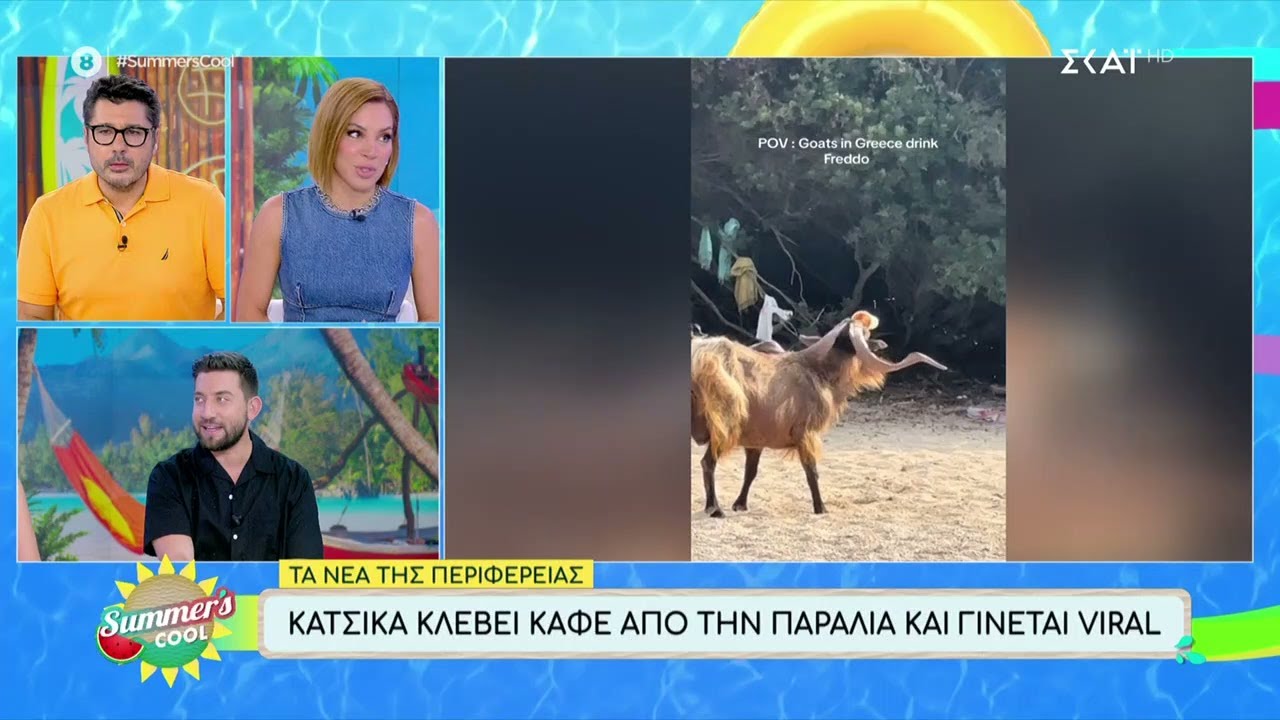 Νέα της περιφέρειας:Η κατσίκα που πίνει καφέ,η φοβερή πινακίδα και η ...