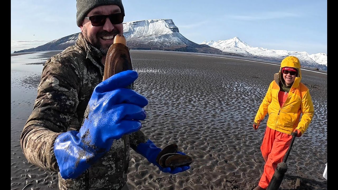 Alaska Razor Clam Digging - YouTube