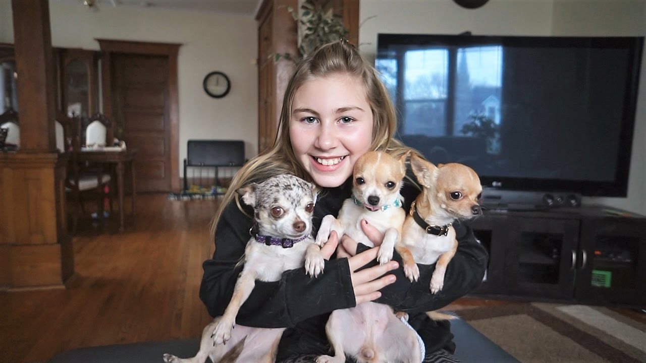 MEET MY PETS - YouTube